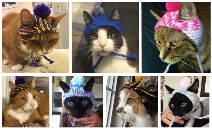 Canadian Cat Toque – Tuxedo Party of Canada