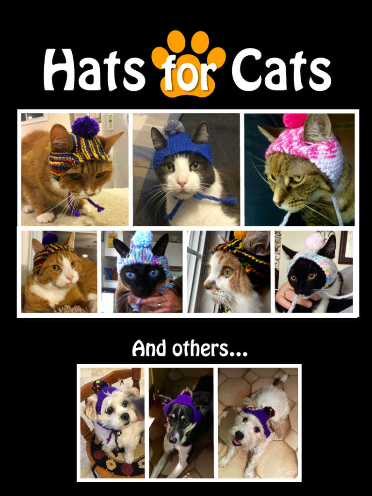 Canadian Cat Toque – Tuxedo Party of Canada