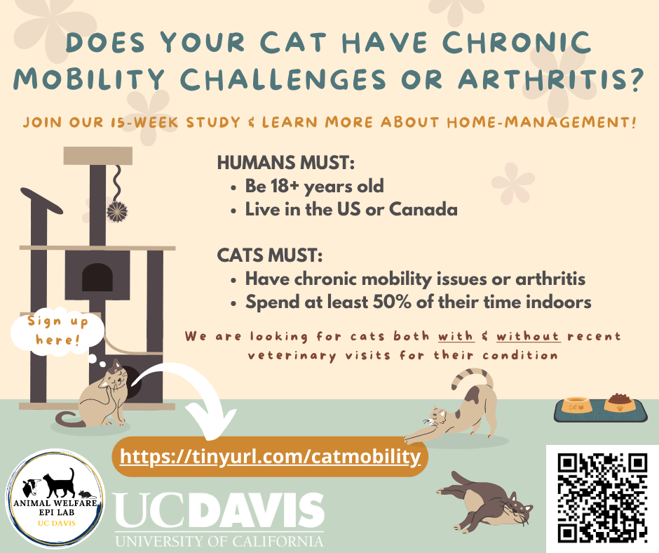 A request for help with a mobility/ arthritis study in cats. – Tuxedo ...